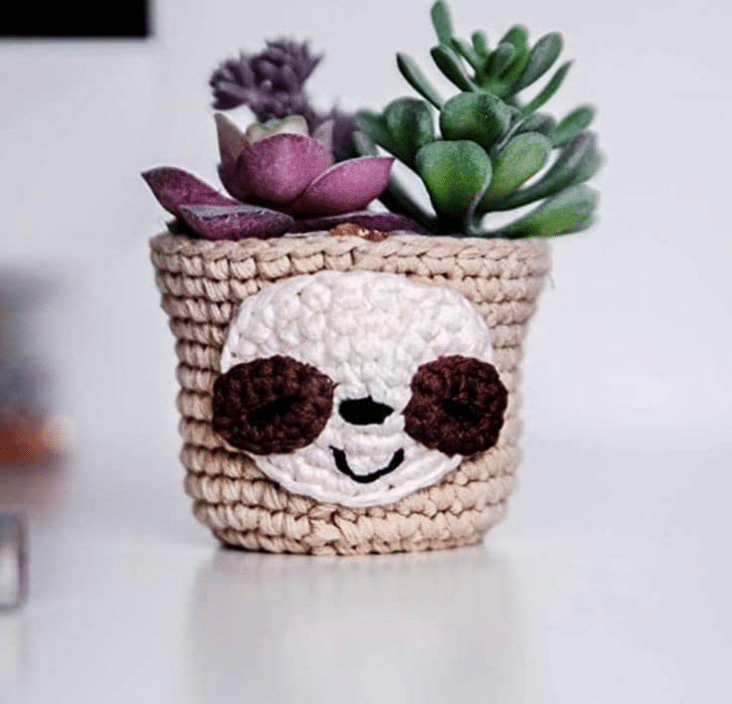 Cachepô em Crochê para Suculentas : Inspirações Fofas para Inovar Sua Decór