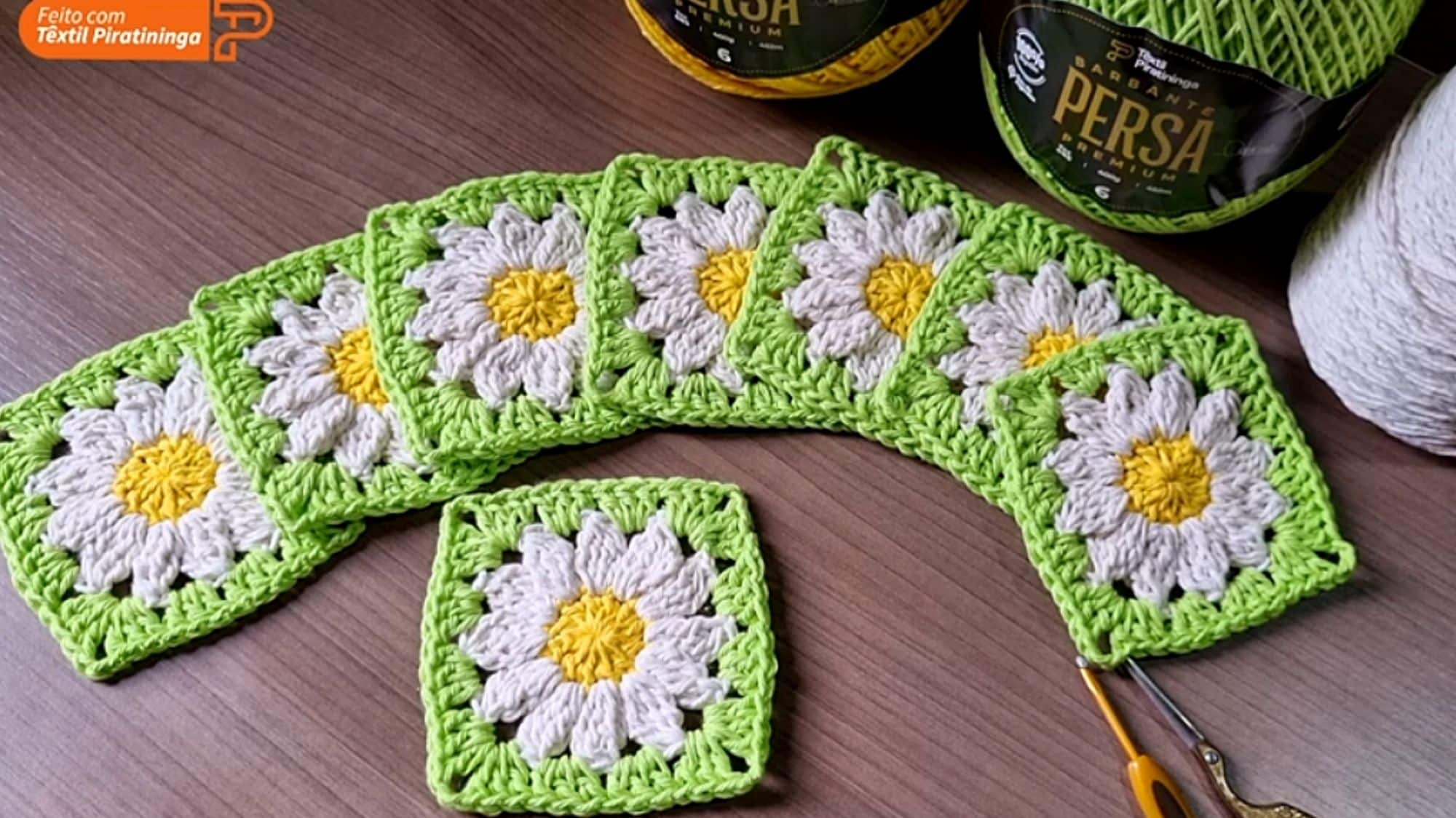 Square de Flor Margarida- Tutorial Passo a Passo de Crochê para Iniciantes