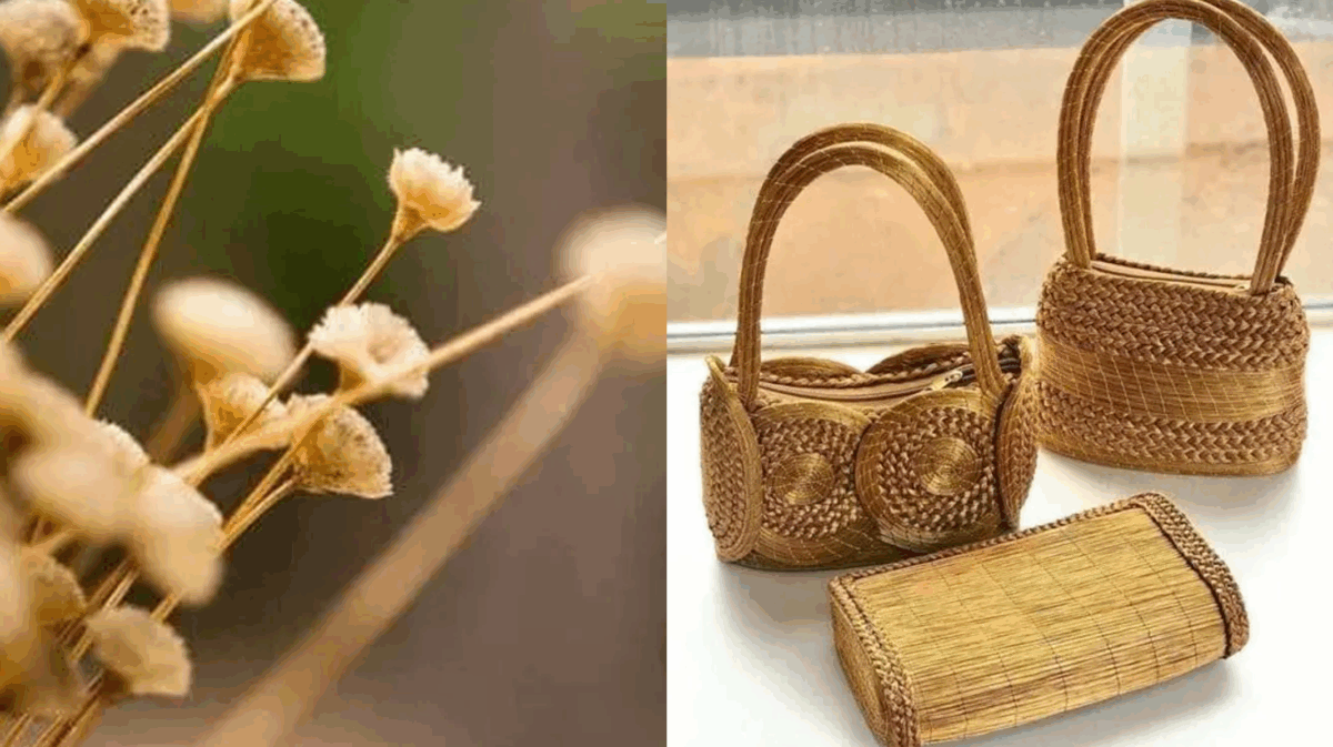 O Fascinante Mundo do Capim Dourado no Artesanato Brasileiro